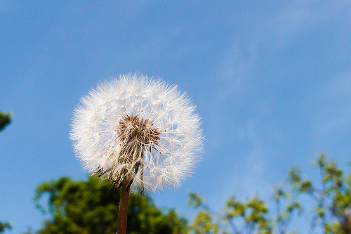 暖かくなって気持ち良い日和 | toshyon's posts