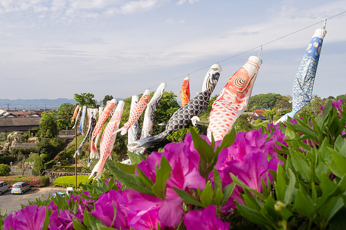 「鯉のぼり」 | toshyon's posts